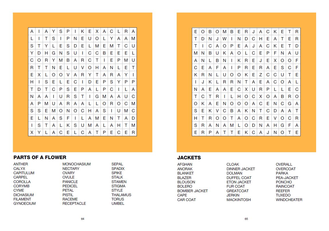 Colour Block Puzzle - Wordsearch (Orange) – Lake Press